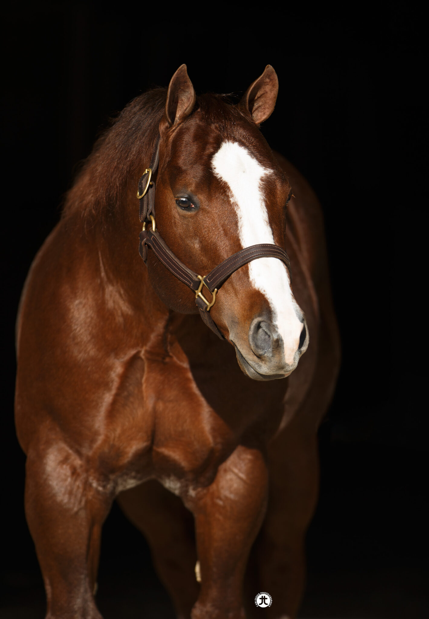 PCCHA - Reyzin The Cash